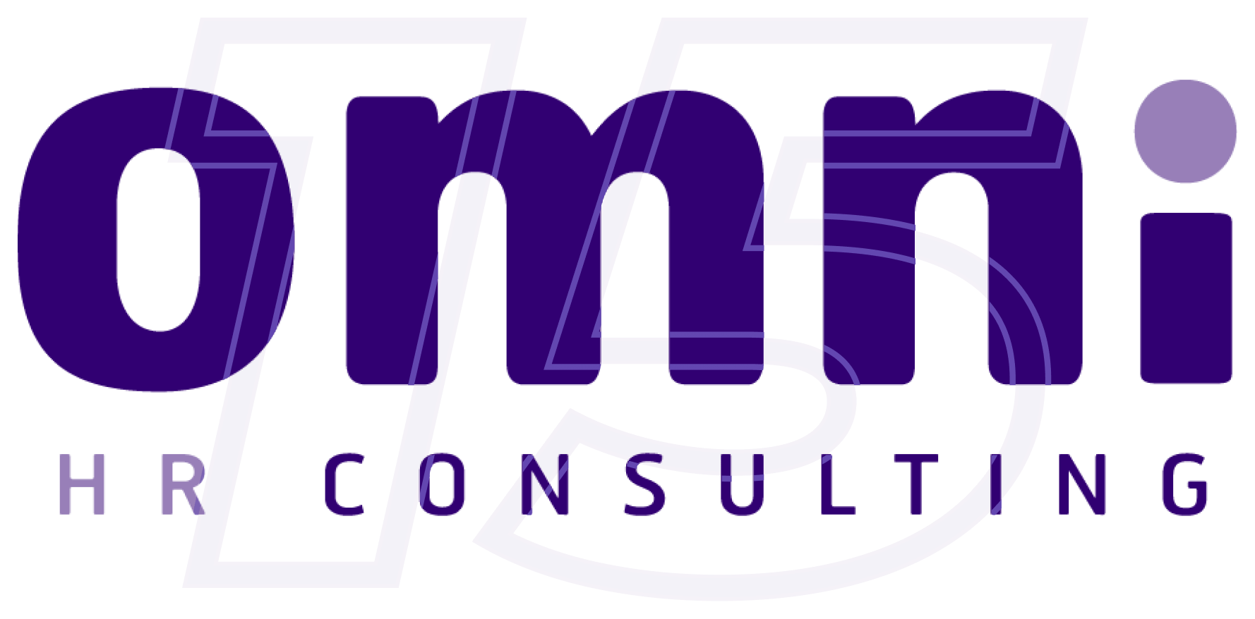 Omni HR Consulting | Your strategic skills & business development partner